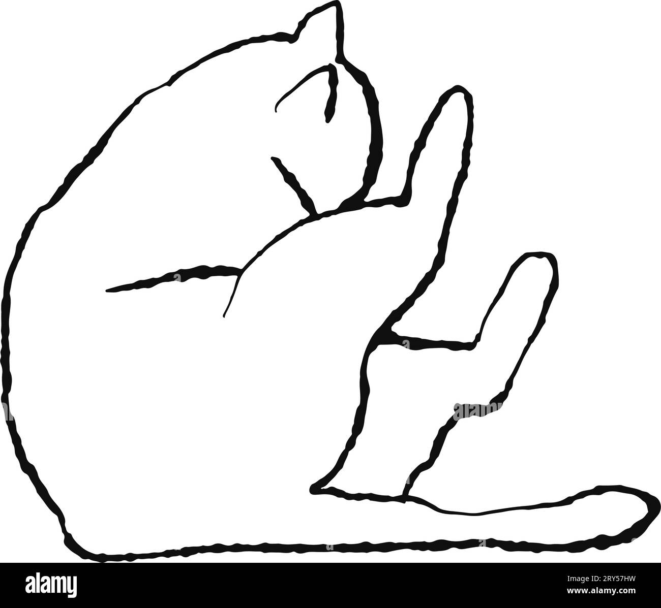 Dessin complet du corps du chat Banque de photographies et d’images à ...