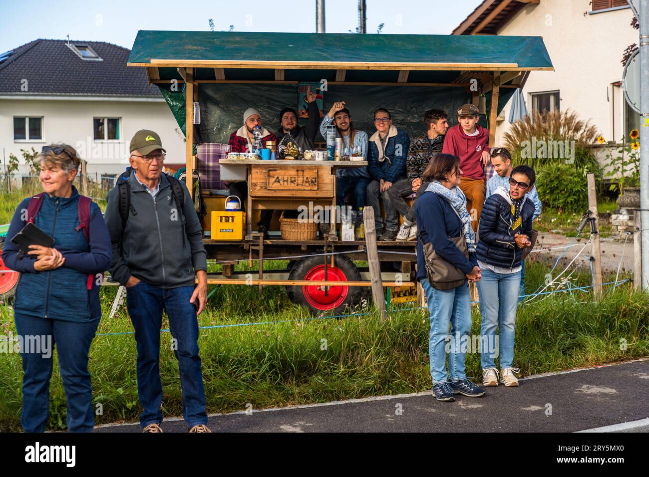 Le bétail cérémoniel automnal conduit des pâturages de montagne dans la ...