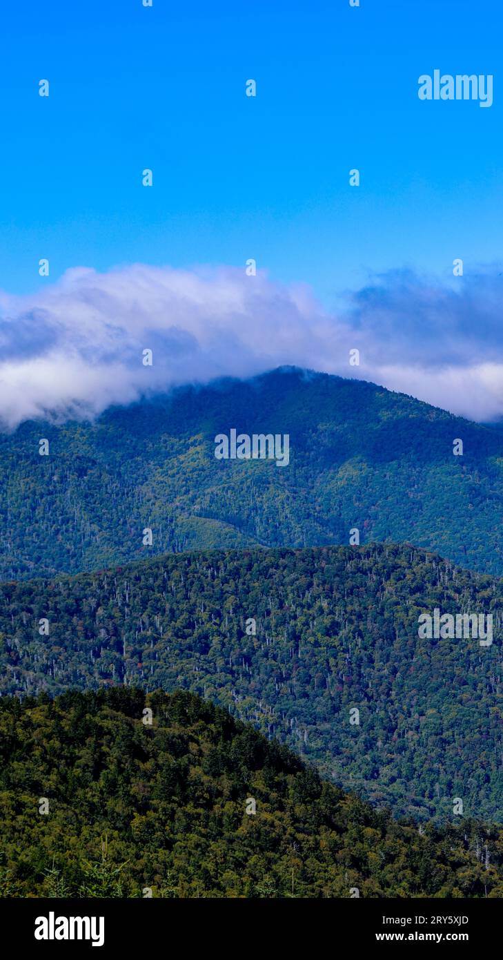 Mount mitchell Banque de photographies et d’images à haute résolution ...