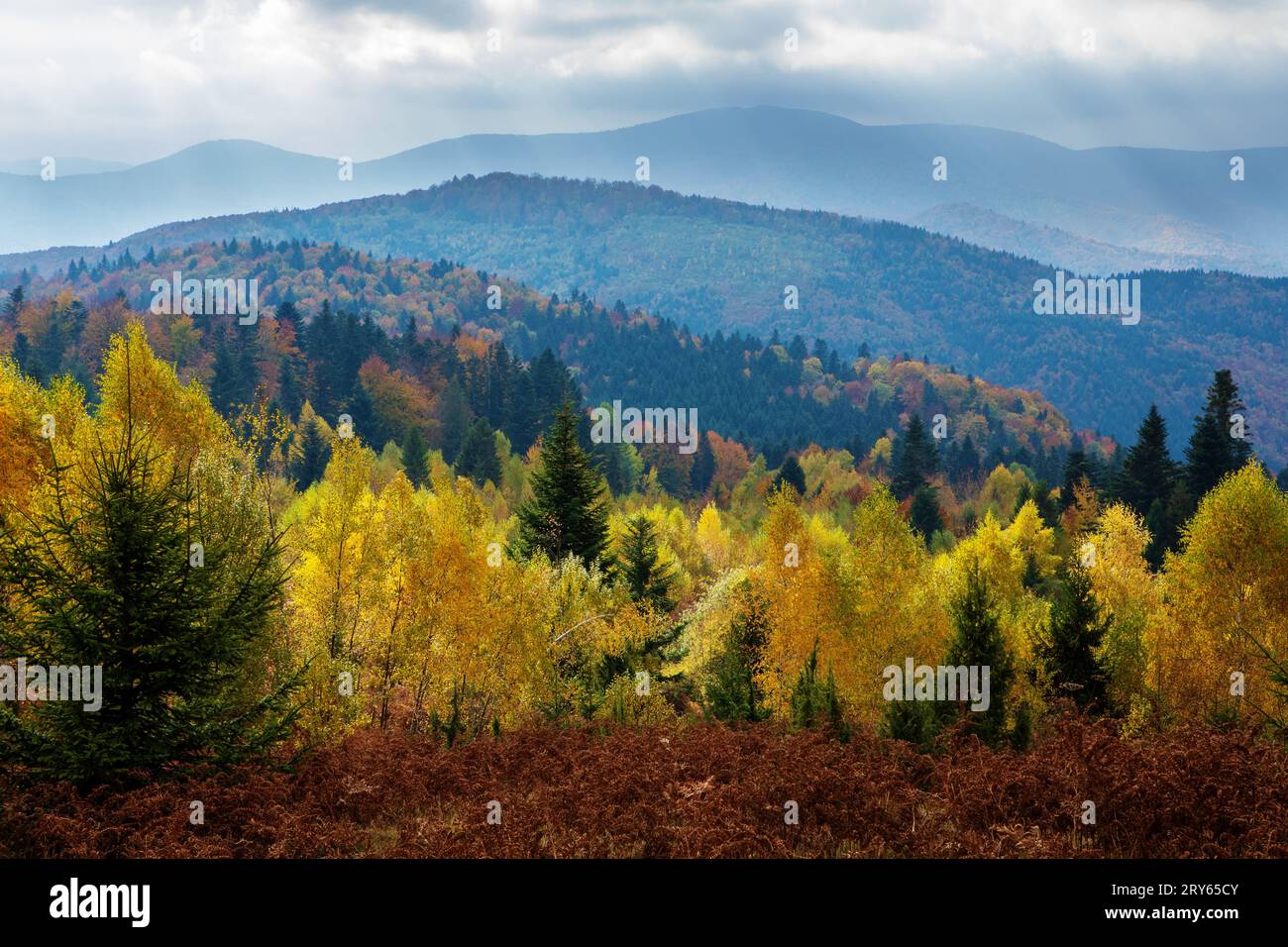 Carpates orientales Banque de photographies et d’images à haute ...