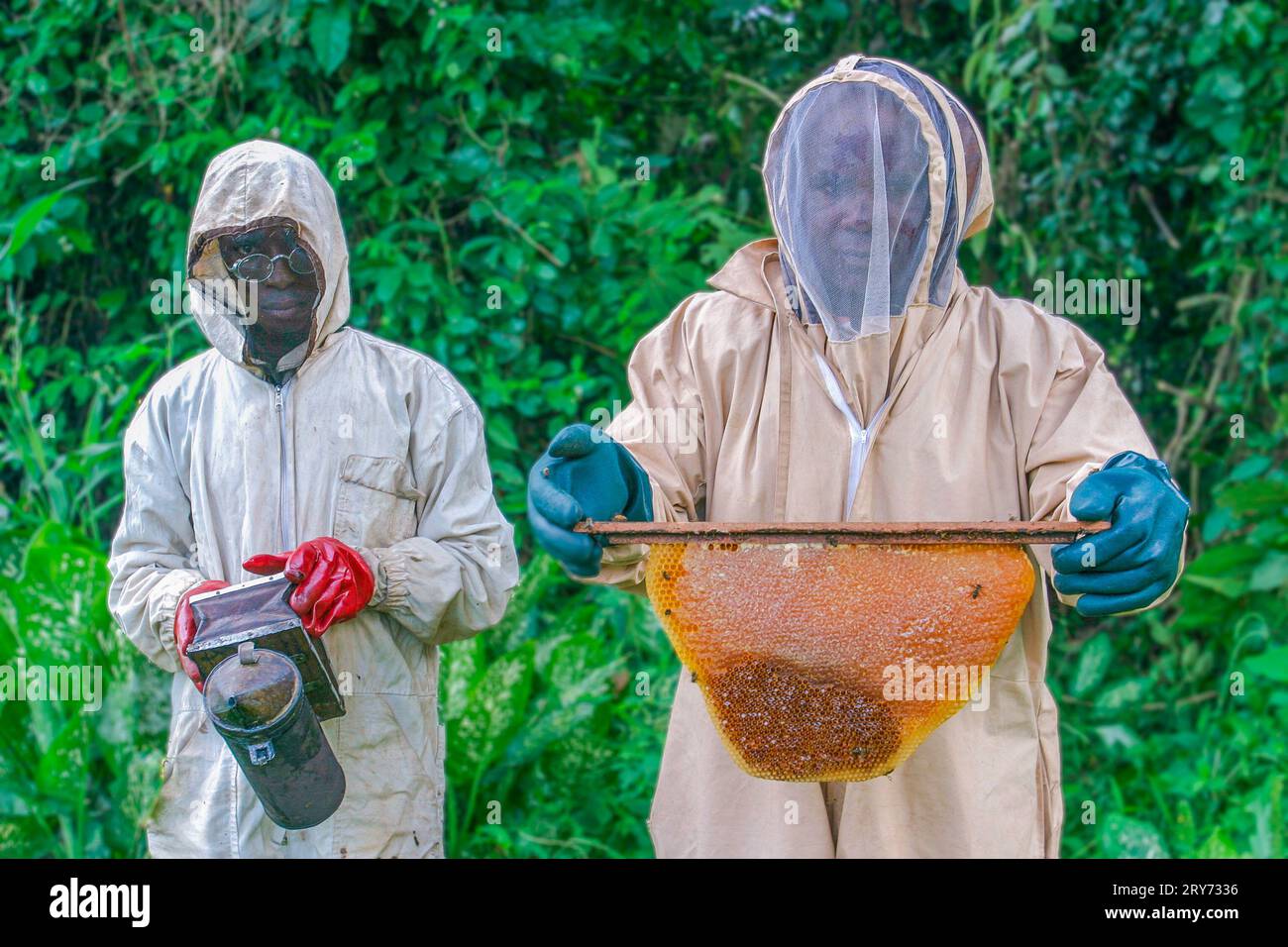 Souffleur de fumée Banque de photographies et d’images à haute ...