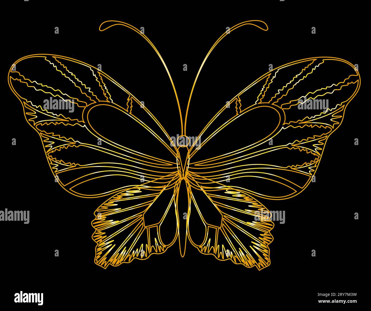 Beau papillon Banque de photographies et d’images à haute résolution ...