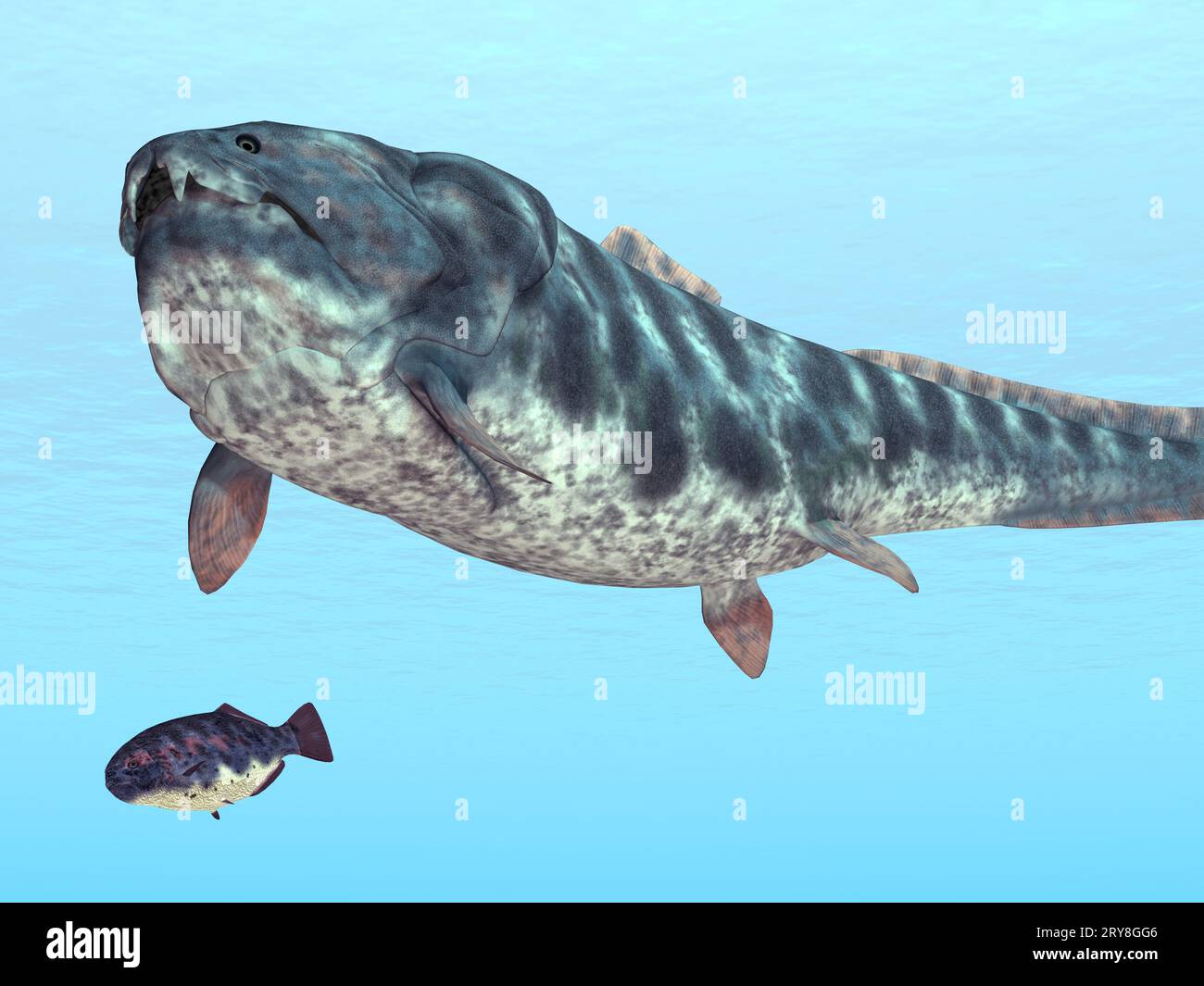 Dunkleosteus fish Banque de photographies et d’images à haute ...