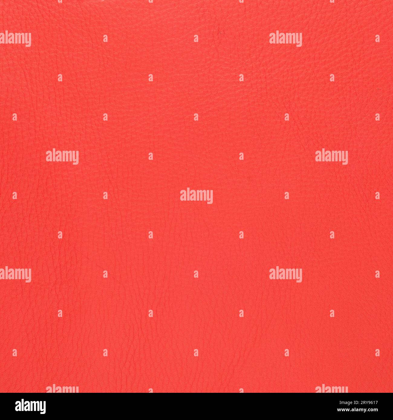 Daim rouge Banque de photographies et d’images à haute résolution - Alamy