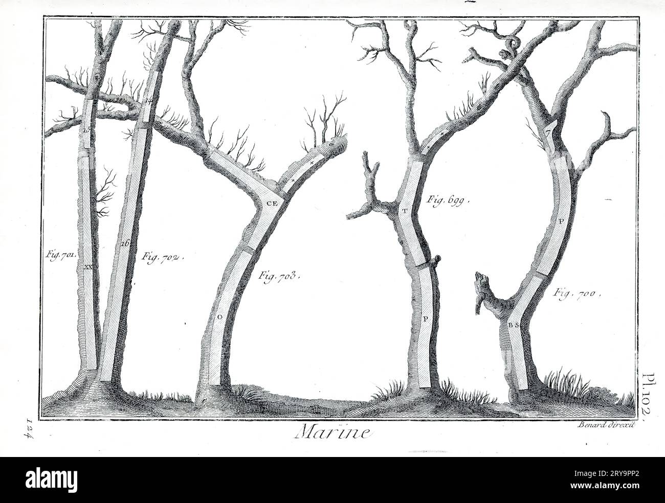 Dessins de construction navale Banque de photographies et d’images à ...