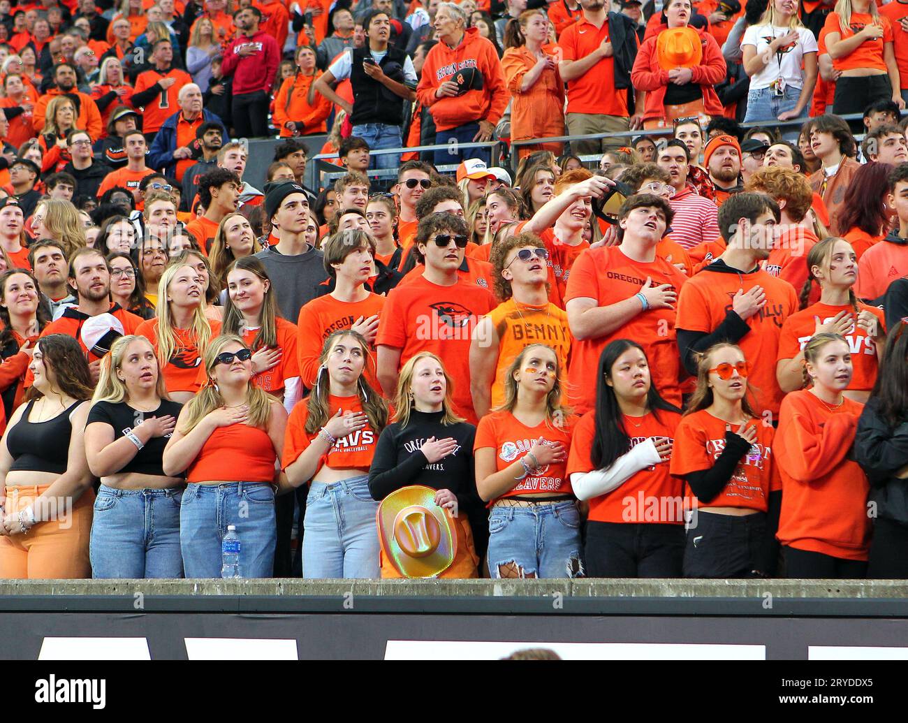 Iseptembre 29, 2023 : les fans de l'Oregon State chantent l'hymne ...