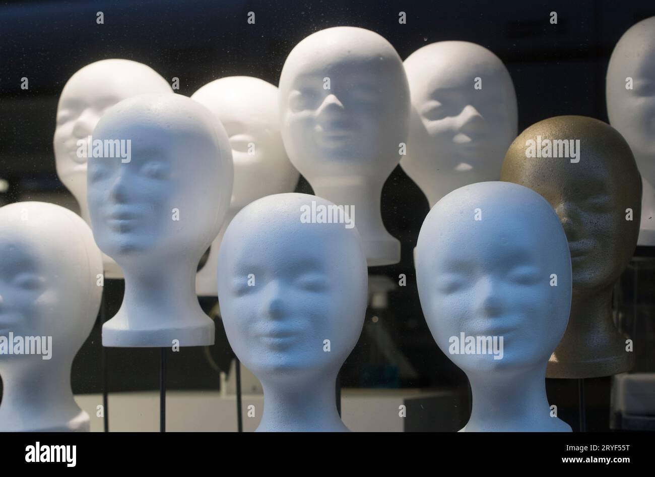 Nez humain anatomy Banque de photographies et d’images à haute ...