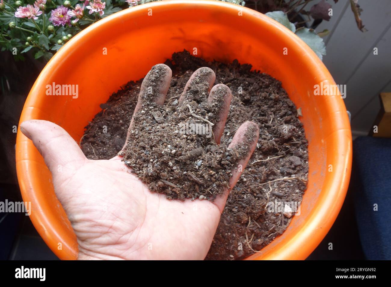 Formation d'humus Banque de photographies et d’images à haute ...