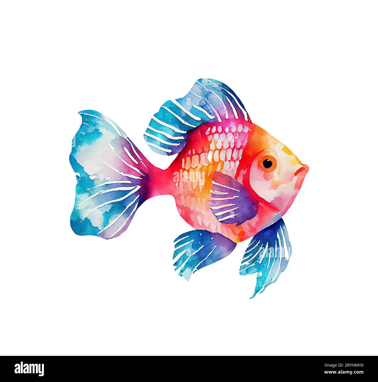 Poisson aquarelle Banque de photographies et d’images à haute ...