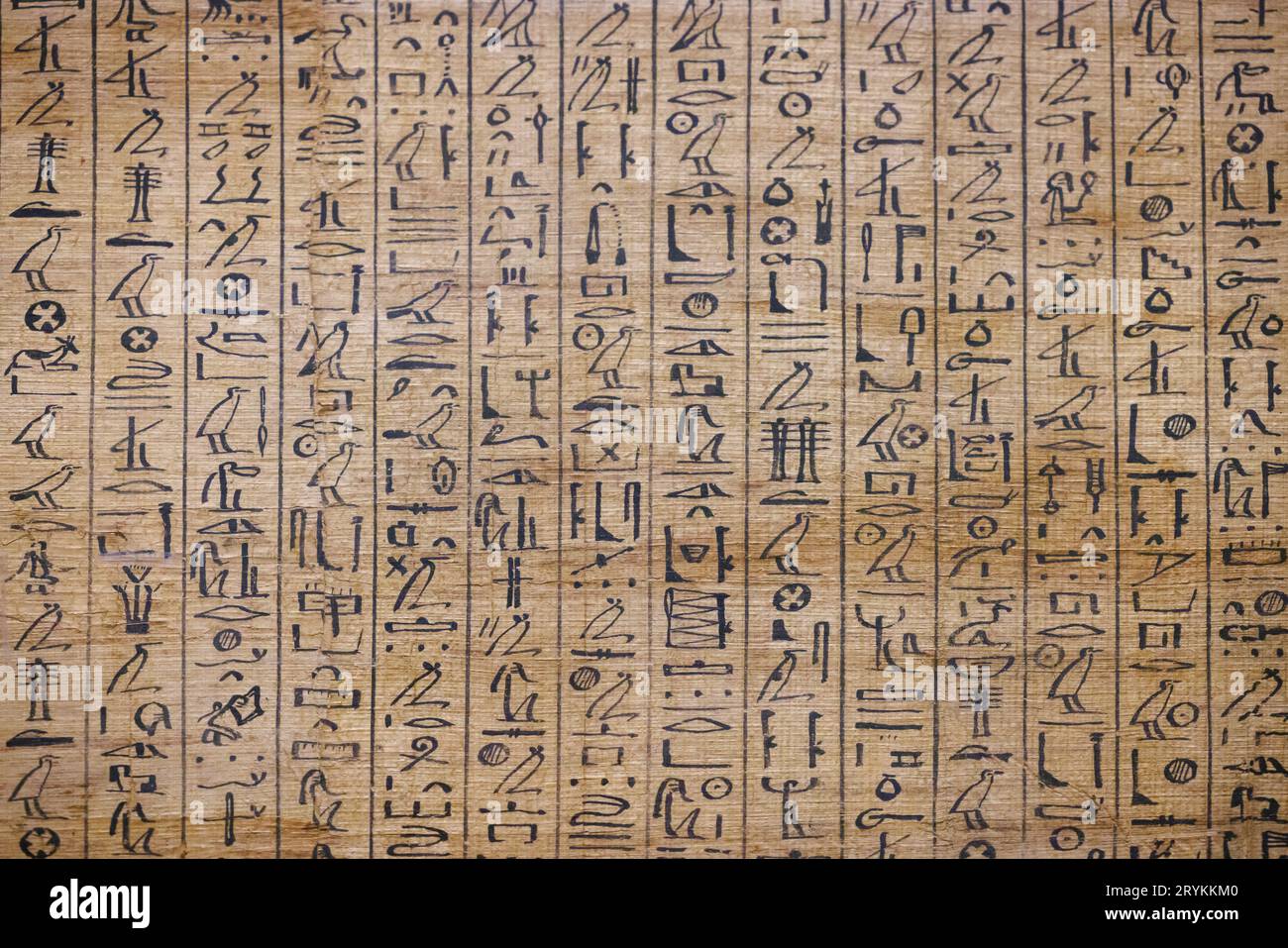 Hieroglyphs papyrus Banque de photographies et d’images à haute ...