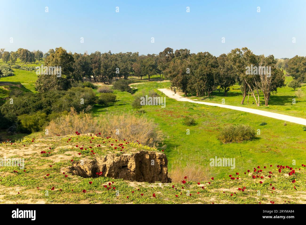 Kibbutz beeri Banque de photographies et d’images à haute résolution ...