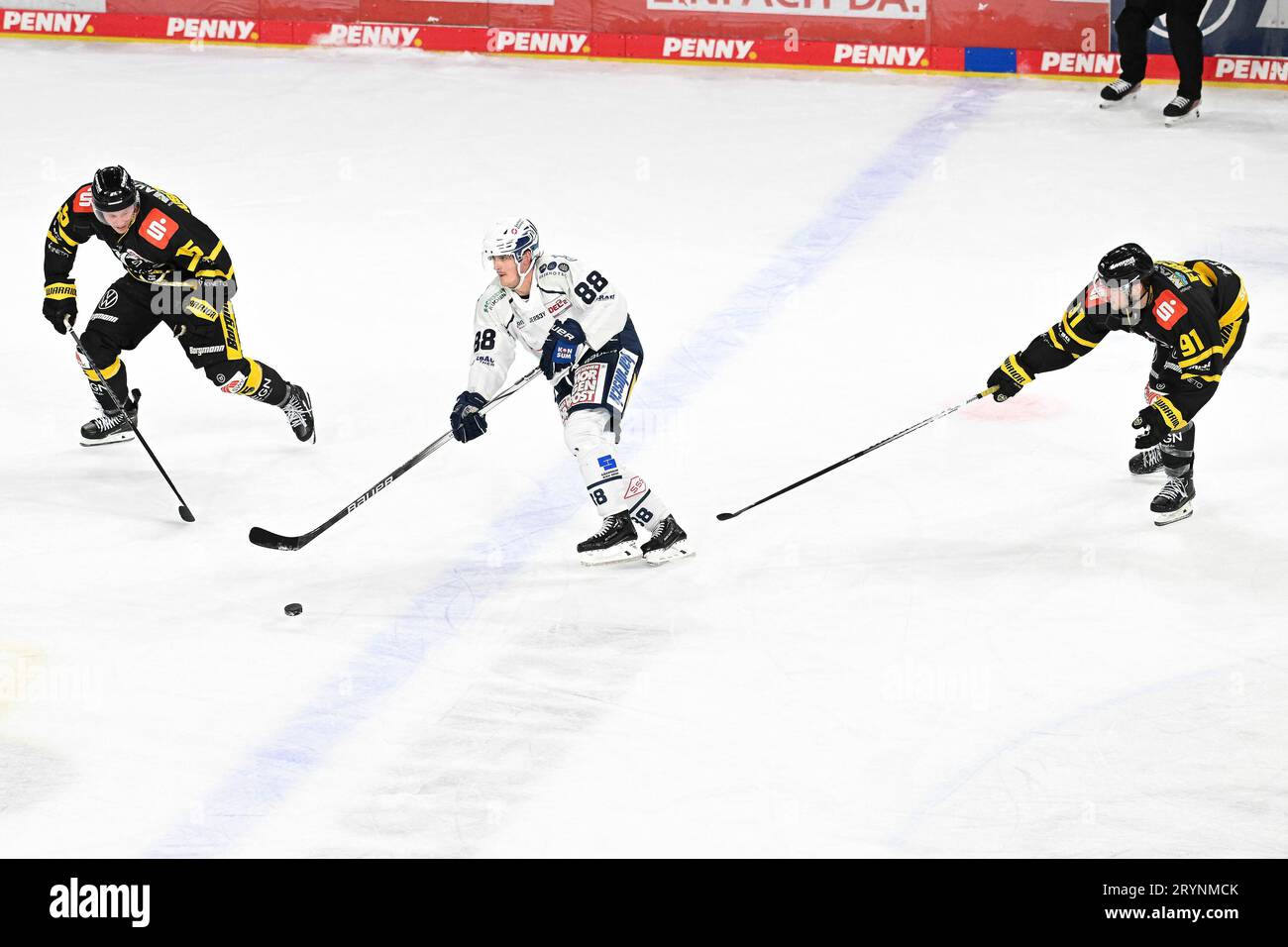 Eishockey - DEL 2 : Krefeld Pinguine vs Dresdner Eislöwen m 01.10.2023 ...