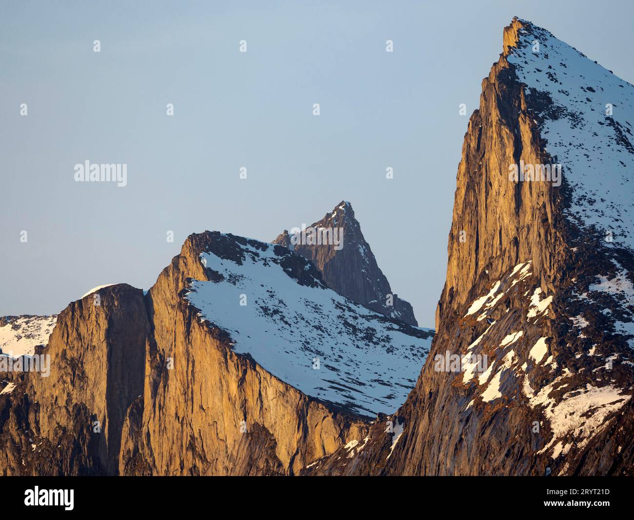 Senja hesten Banque de photographies et d’images à haute résolution - Alamy