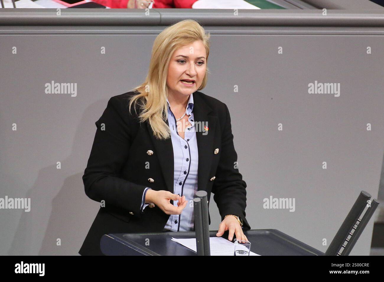 Berlin, Deutschland, 19 décembre 2024 : Deutscher Bundestag : 207 ...