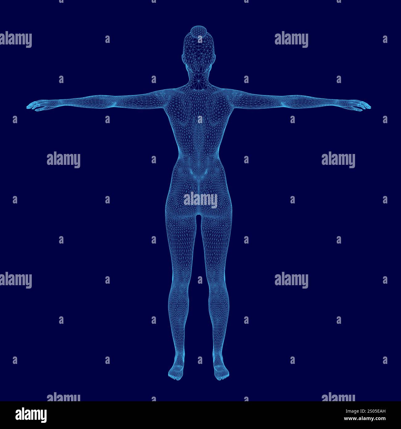 Jambes étendues Banque d'images vectorielles - Alamy