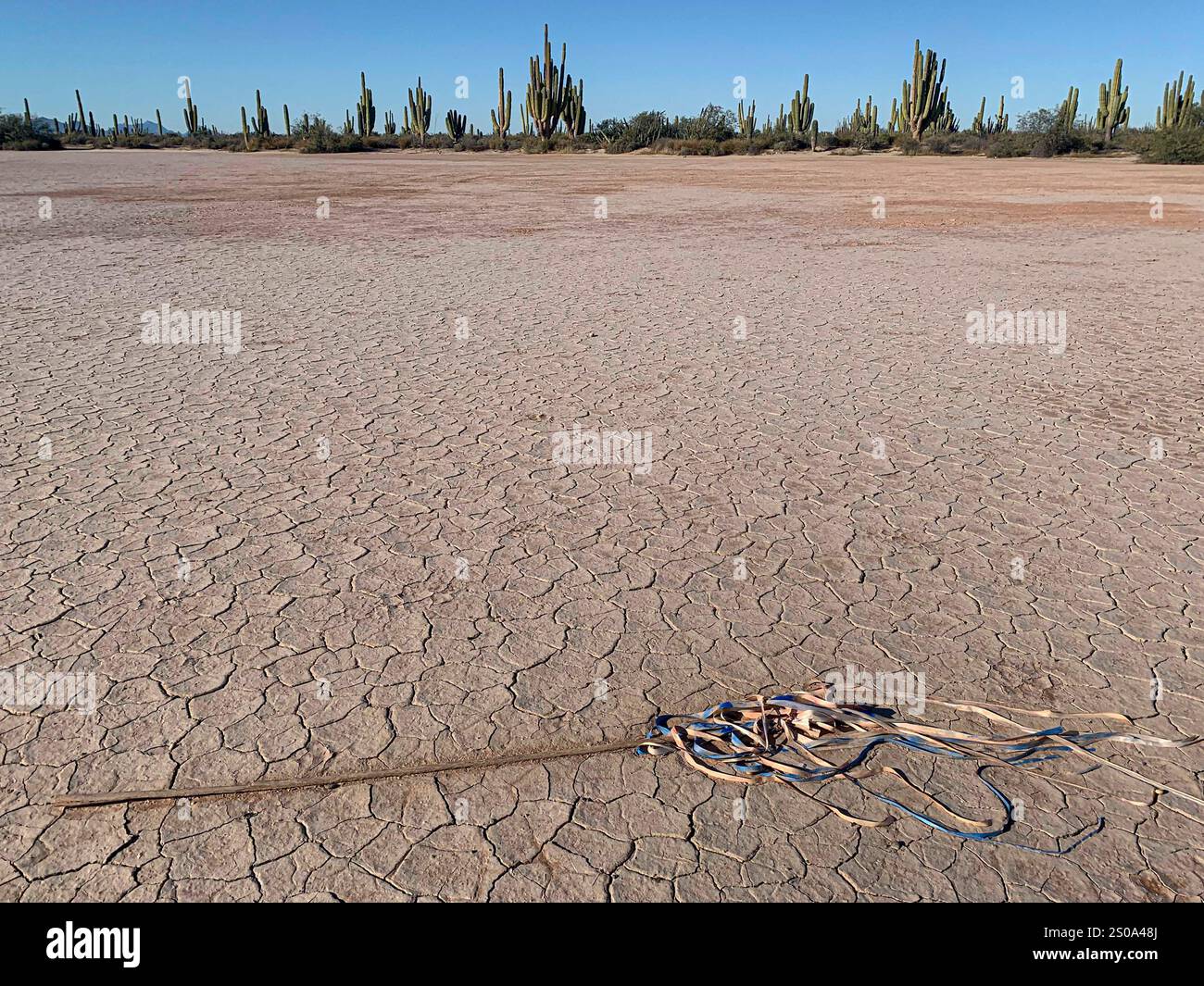 Horizon et sol fissuré dans une zone aride avec une sécheresse extrême ...