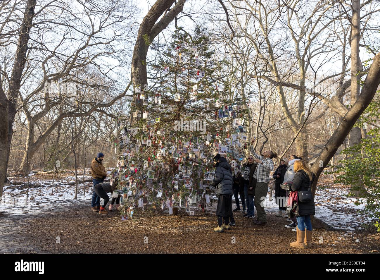 New York, États-Unis. 27 décembre 2024. Une vue de l’arbre de Noël ...