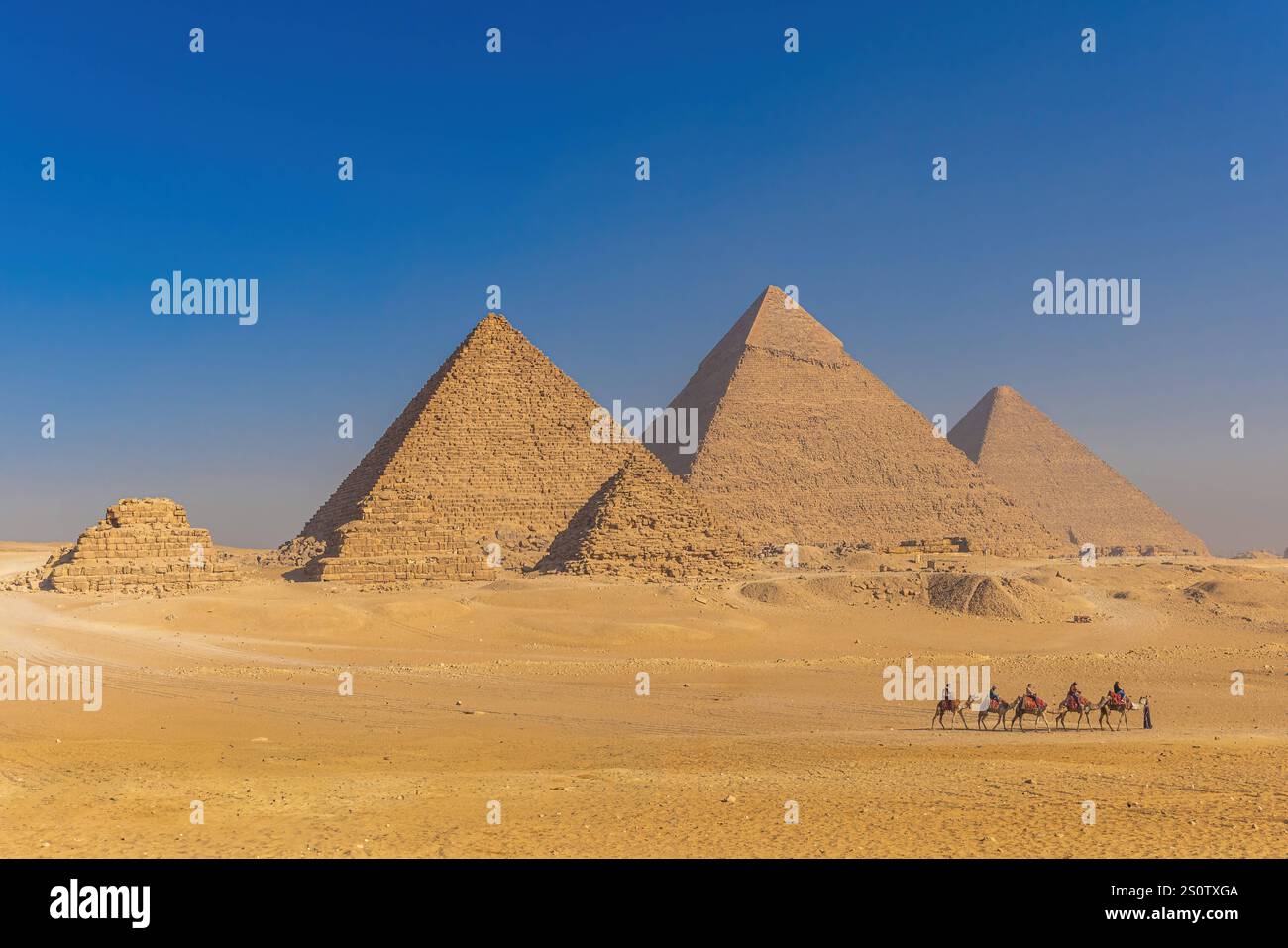 Les grandes pyramides de Gizeh, avec des chameaux passant devant elle ...