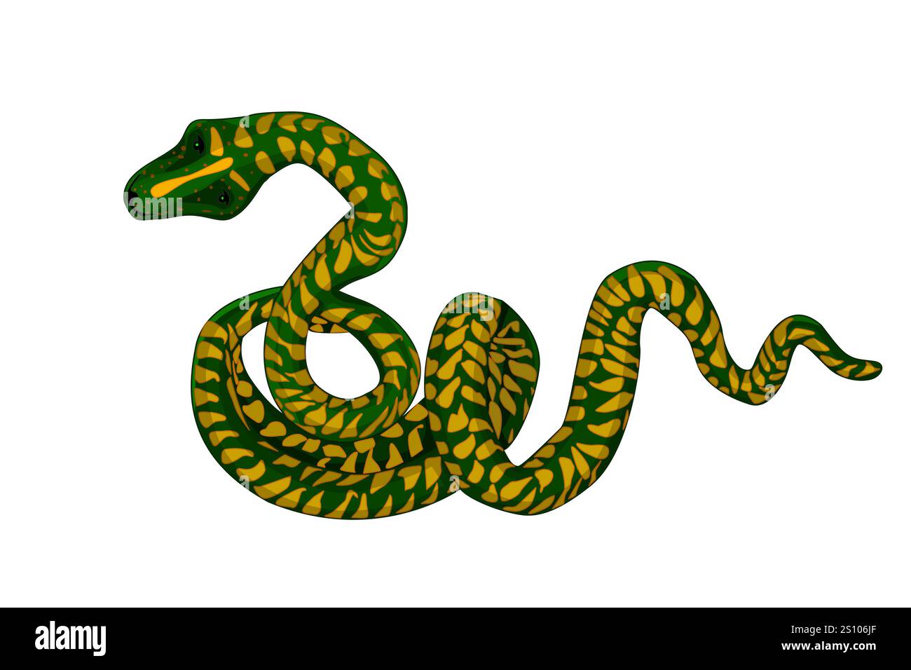 Serpent vert. Grand serpent enroulé avec des taches jaunes. Gros python ...