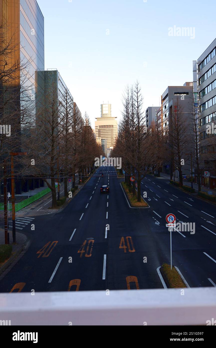 1er janvier 2025. Sendai, préfecture de Miyagi, Japon. Centre-ville de ...