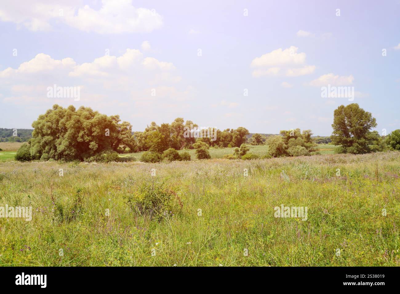 Paysage printemps Banque de photographies et d’images à haute ...