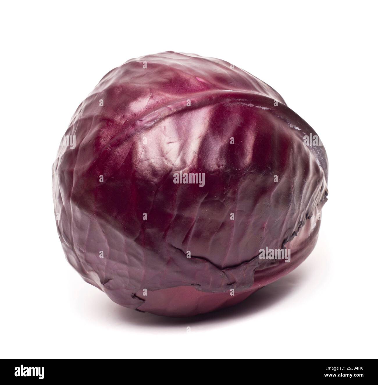 Tête de chou Banque de photographies et d’images à haute résolution - Alamy