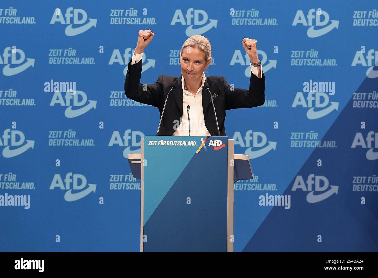 16. Bundesparteitag der Alternative für Deutschland AM 11.01.2025 in ...