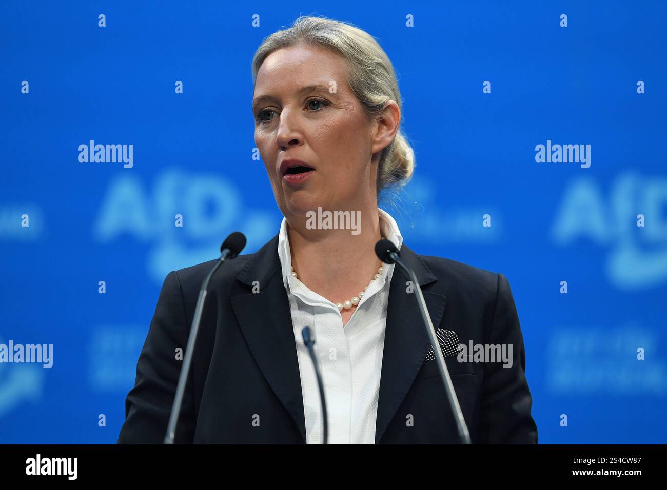 16. Bundesparteitag der Alternative für Deutschland AM 11.01.2025 in ...