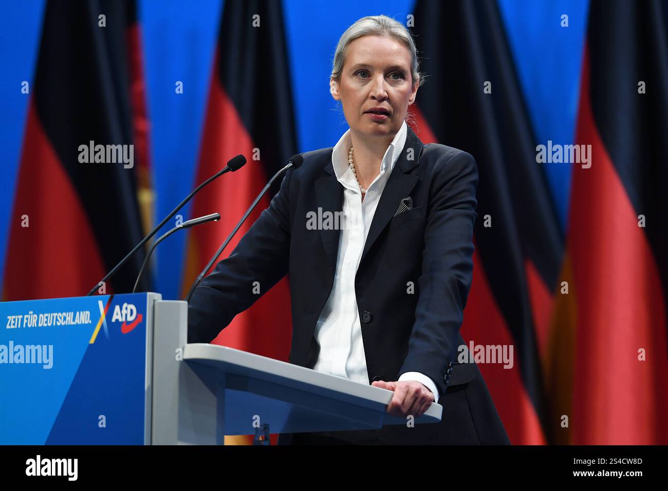 16. Bundesparteitag der Alternative für Deutschland AM 11.01.2025 in ...