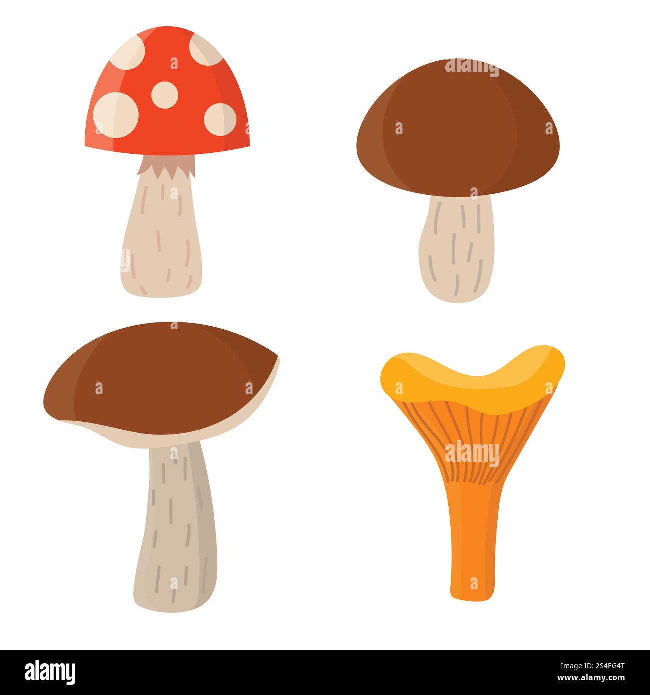 Champignon de dessin animé dans un style plat isolé sur fond blanc ...