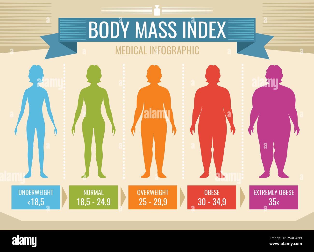 Infographie médicale de vecteur d'indice de masse corporelle de la ...