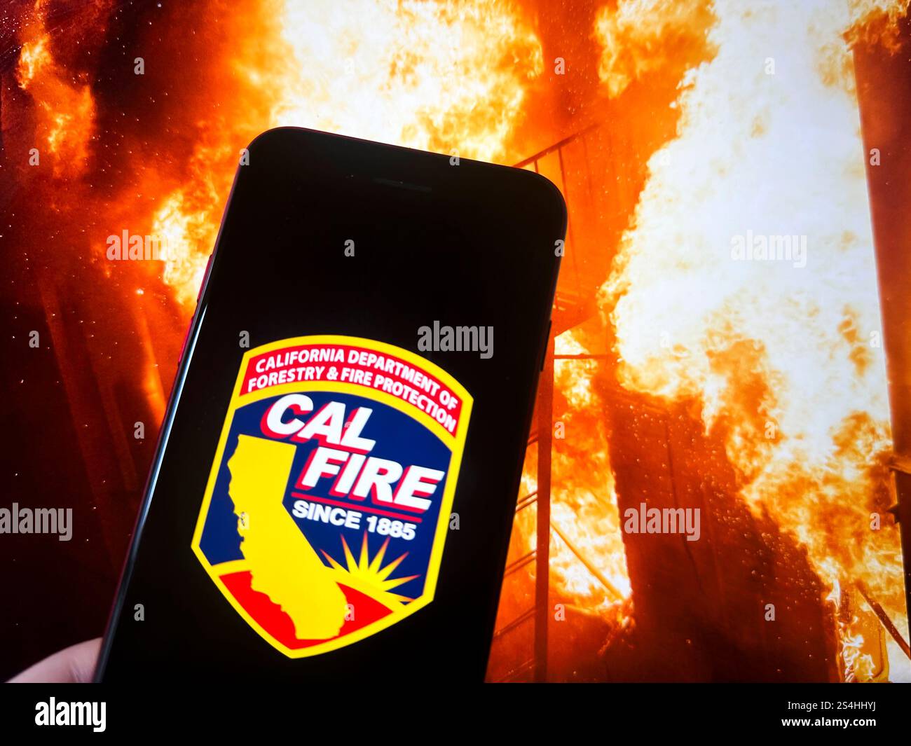 Los Angeles, Californie, États-Unis. 12 janvier 2025. L'emblème Cal Fire, également connu sous ...