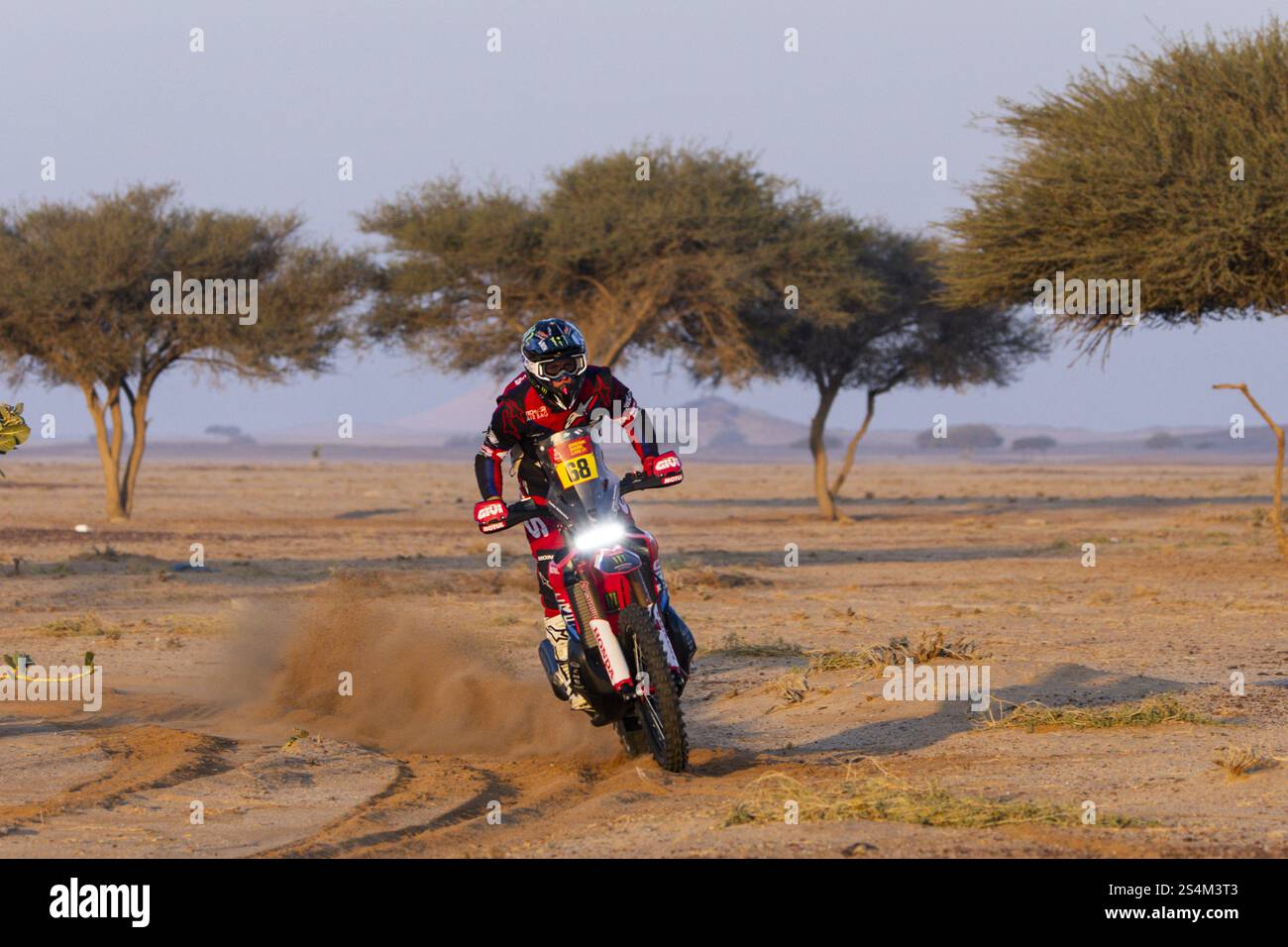 68 SCHAREINA Tosha (spa), Honda, Monster Energy Honda HRC, Motul, RallyGP, action lors de l ...