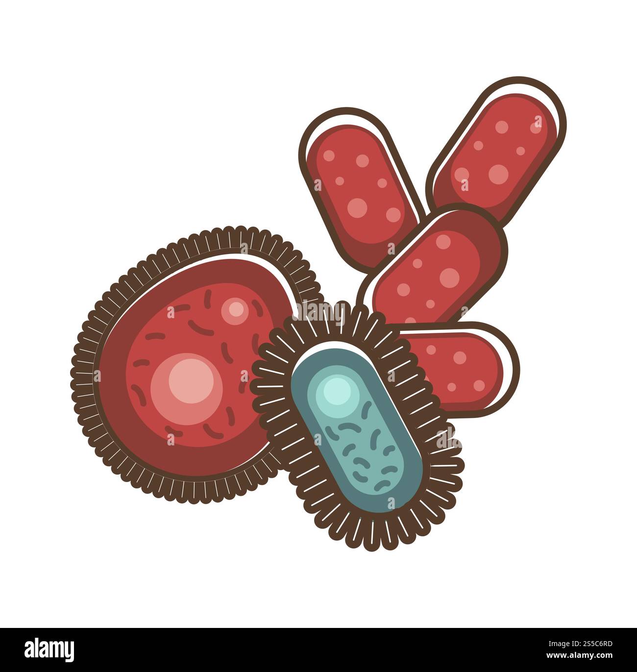 Forme oblongue Banque de photographies et d’images à haute résolution ...