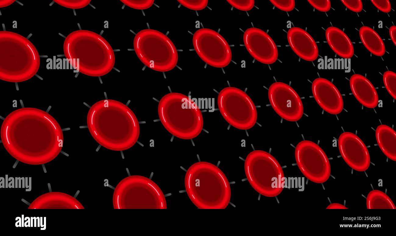 Structure des globules rouges Banque de photographies et d’images à ...