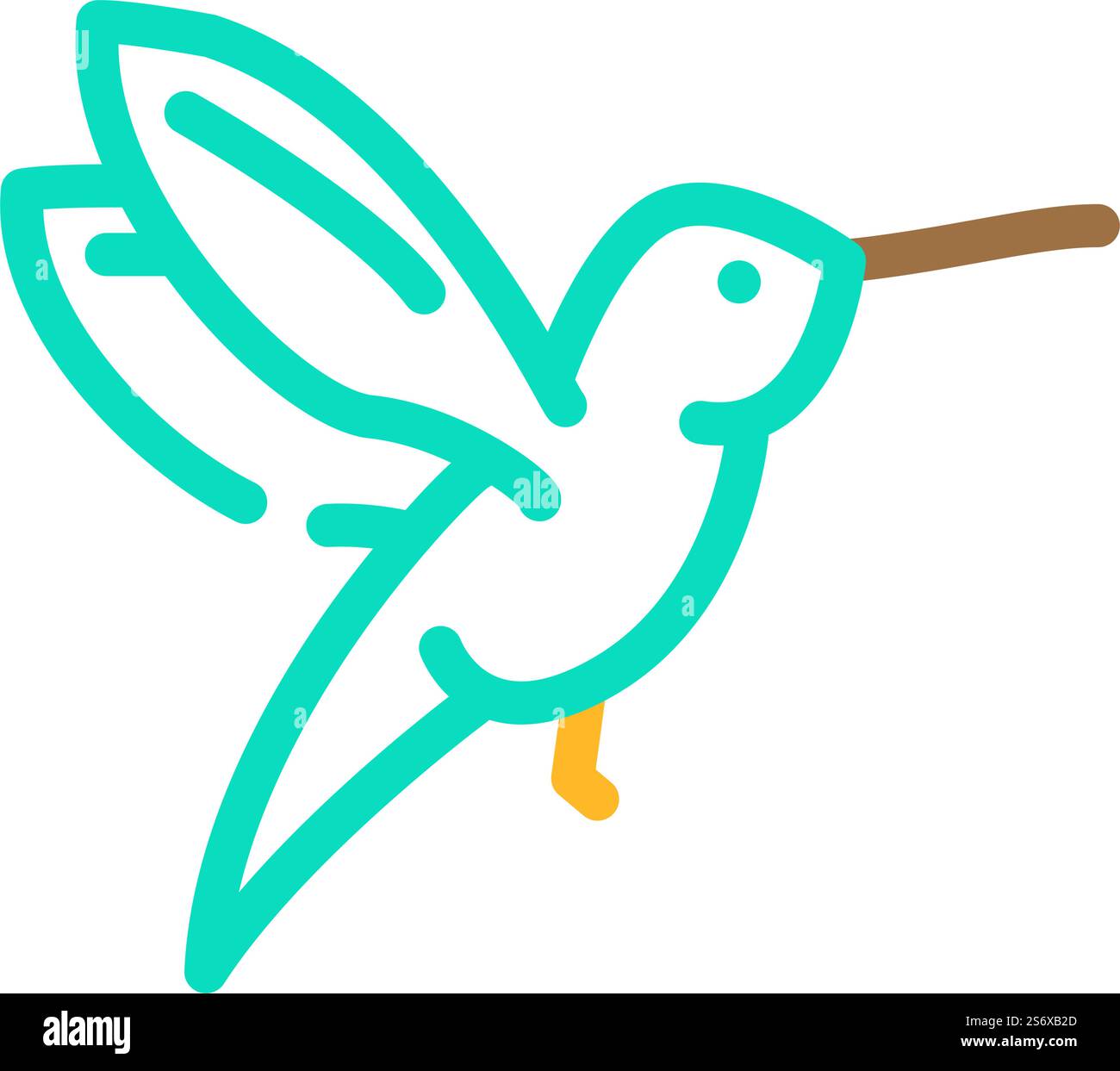 Colibri rare Banque d'images vectorielles - Alamy