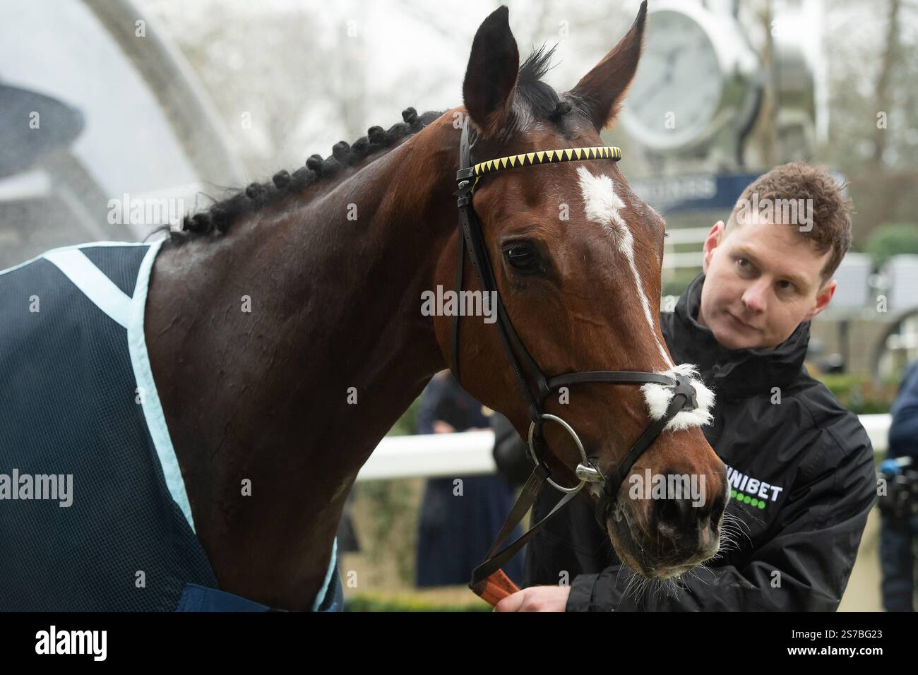 Betmgm clarence house chase raceday Banque de photographies et d’images ...