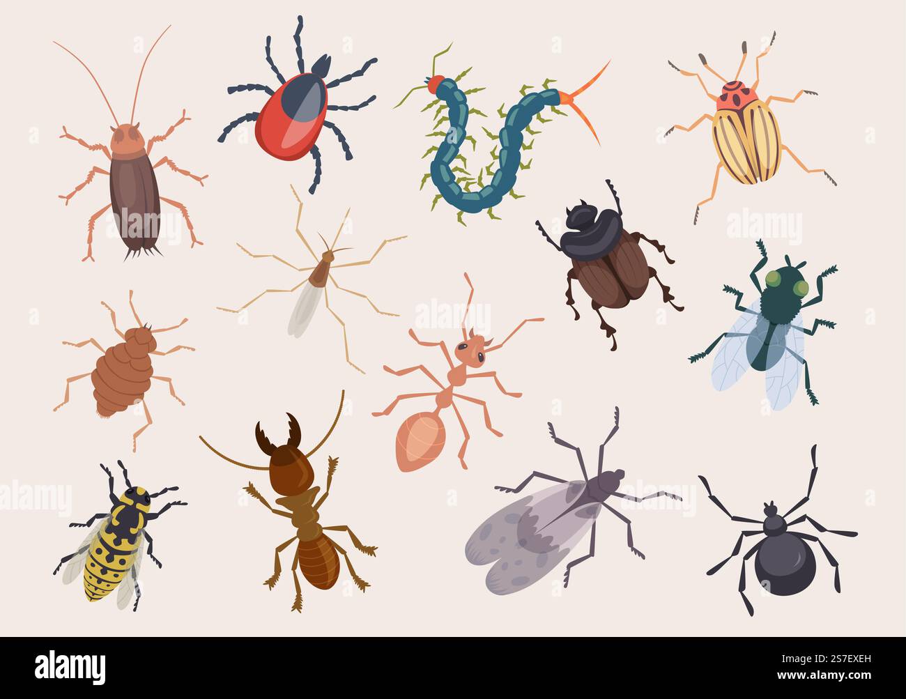 Bugs nuisibles. Danger insectes coccinelle fourmis ravageurs cafards ...