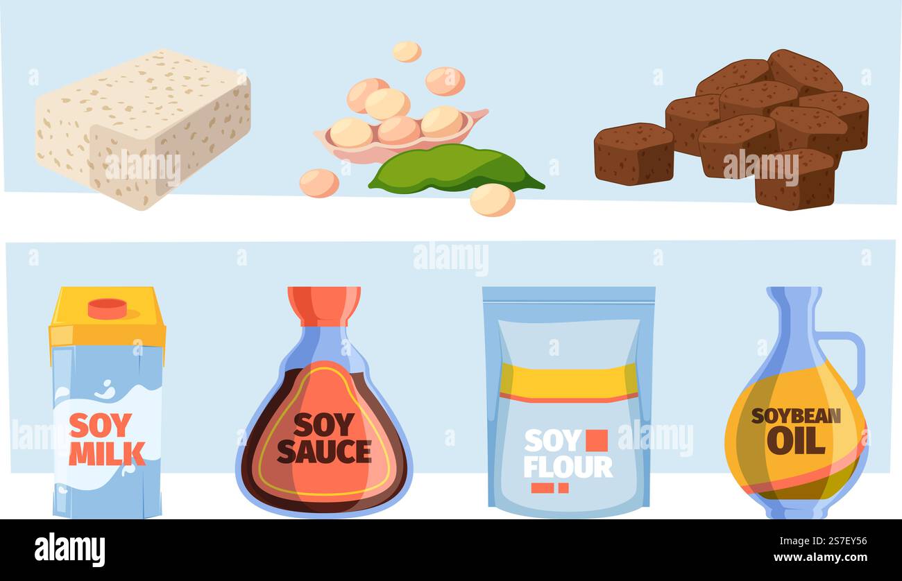 Aliments à base de soja. Produits biologiques sains fromage plat ...