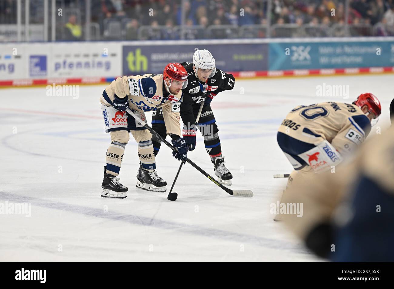 Kristian Reichel Adler Mannheim #11 beim Bully, GER, Adler Mannheim vs ...