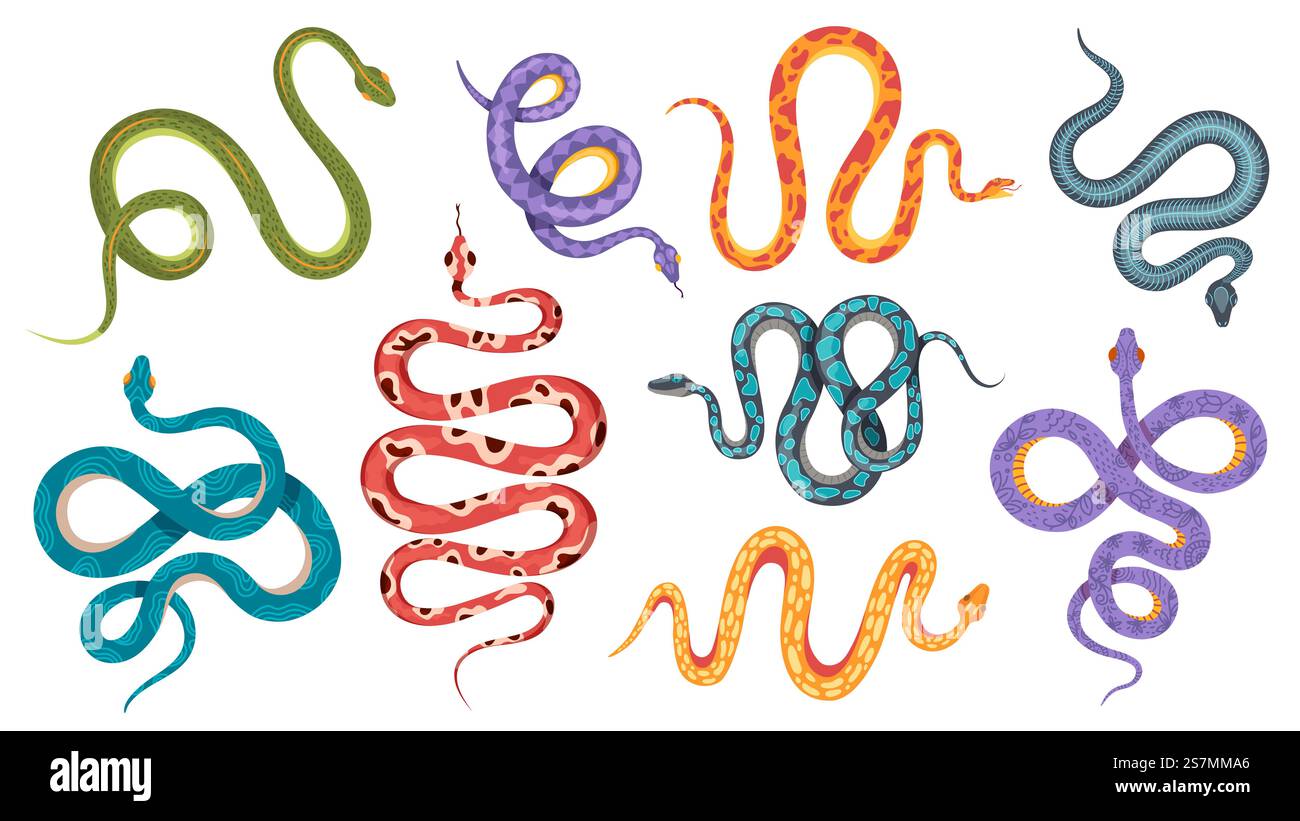 Serpents sauvages. Tatouages colorés de serpent corail avec des motifs ...