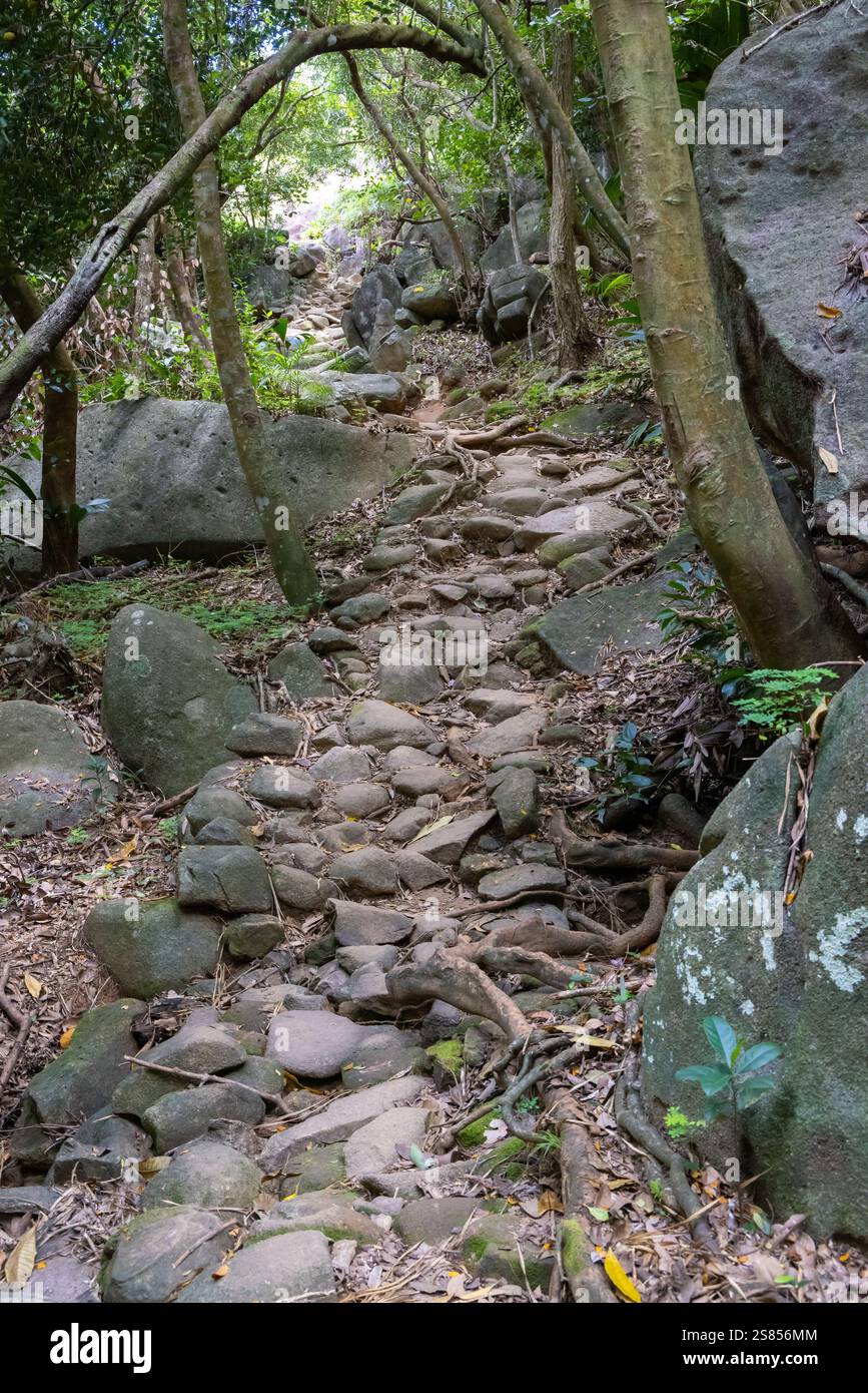 Copolia trail Banque de photographies et d’images à haute résolution ...