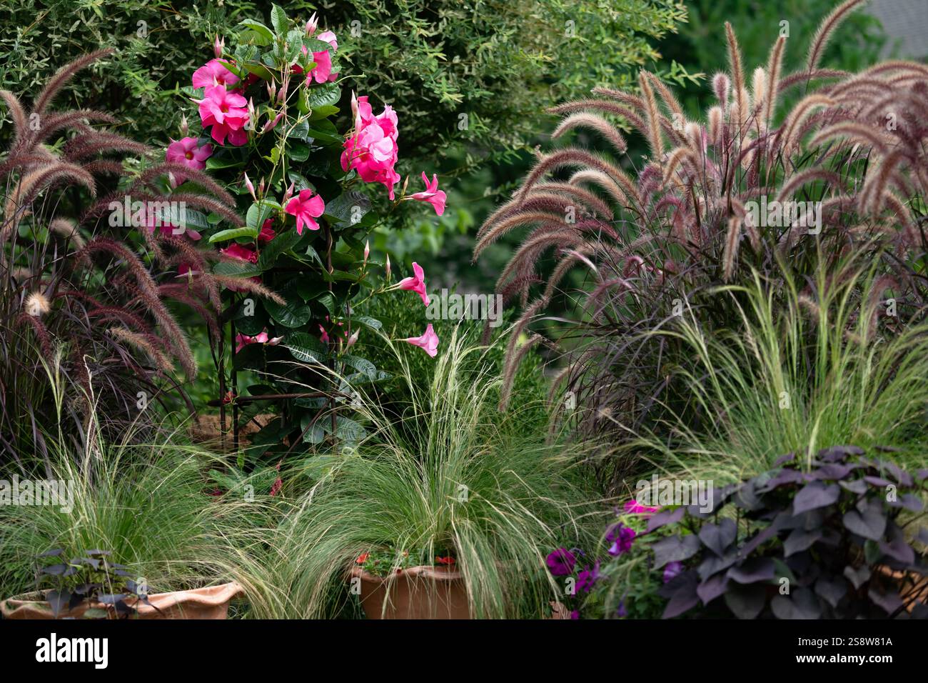 Un jardin mystique accueillant avec une belle fontaine violette ...