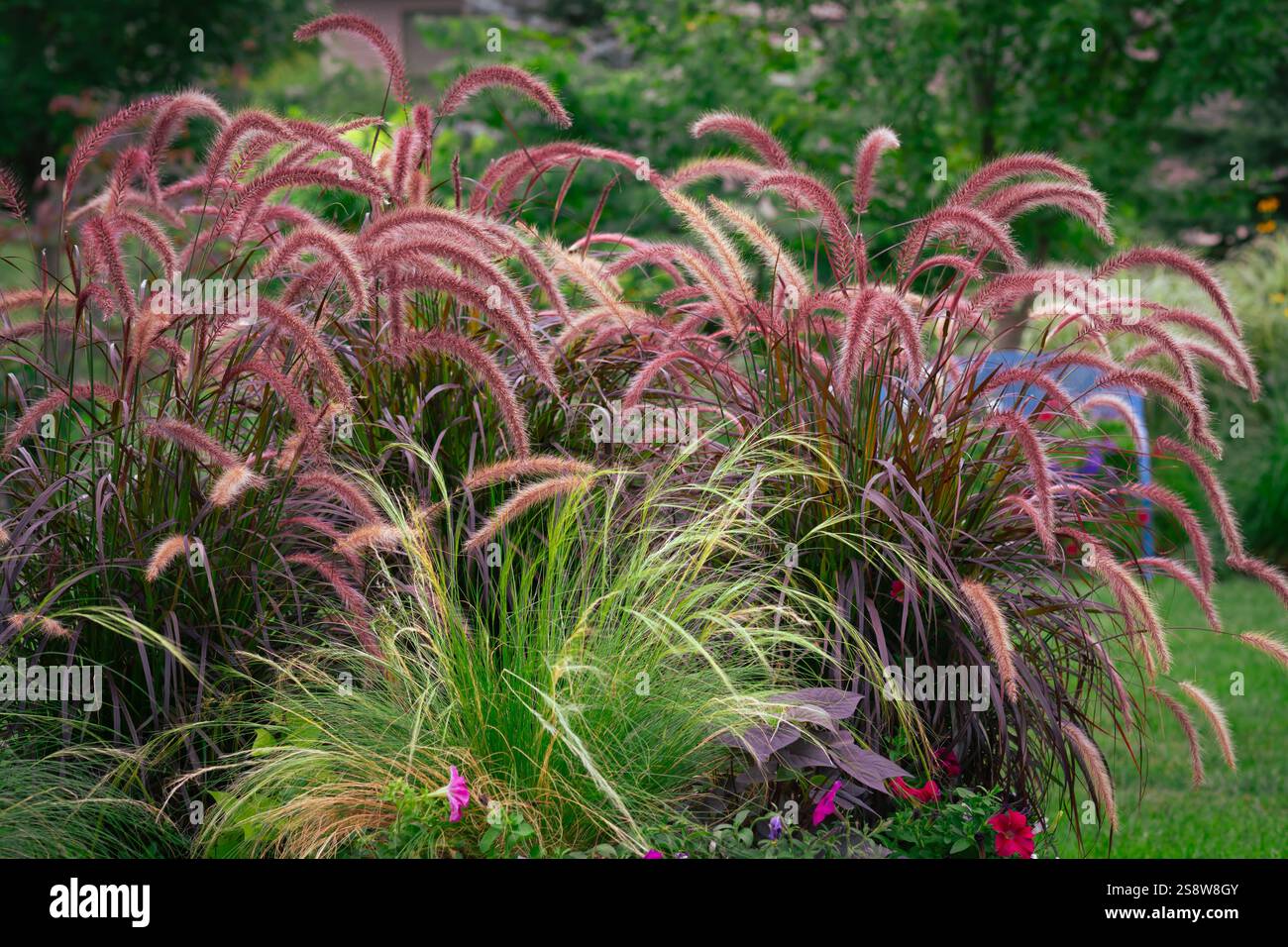 Un jardin mystique accueillant avec une belle fontaine violette ...