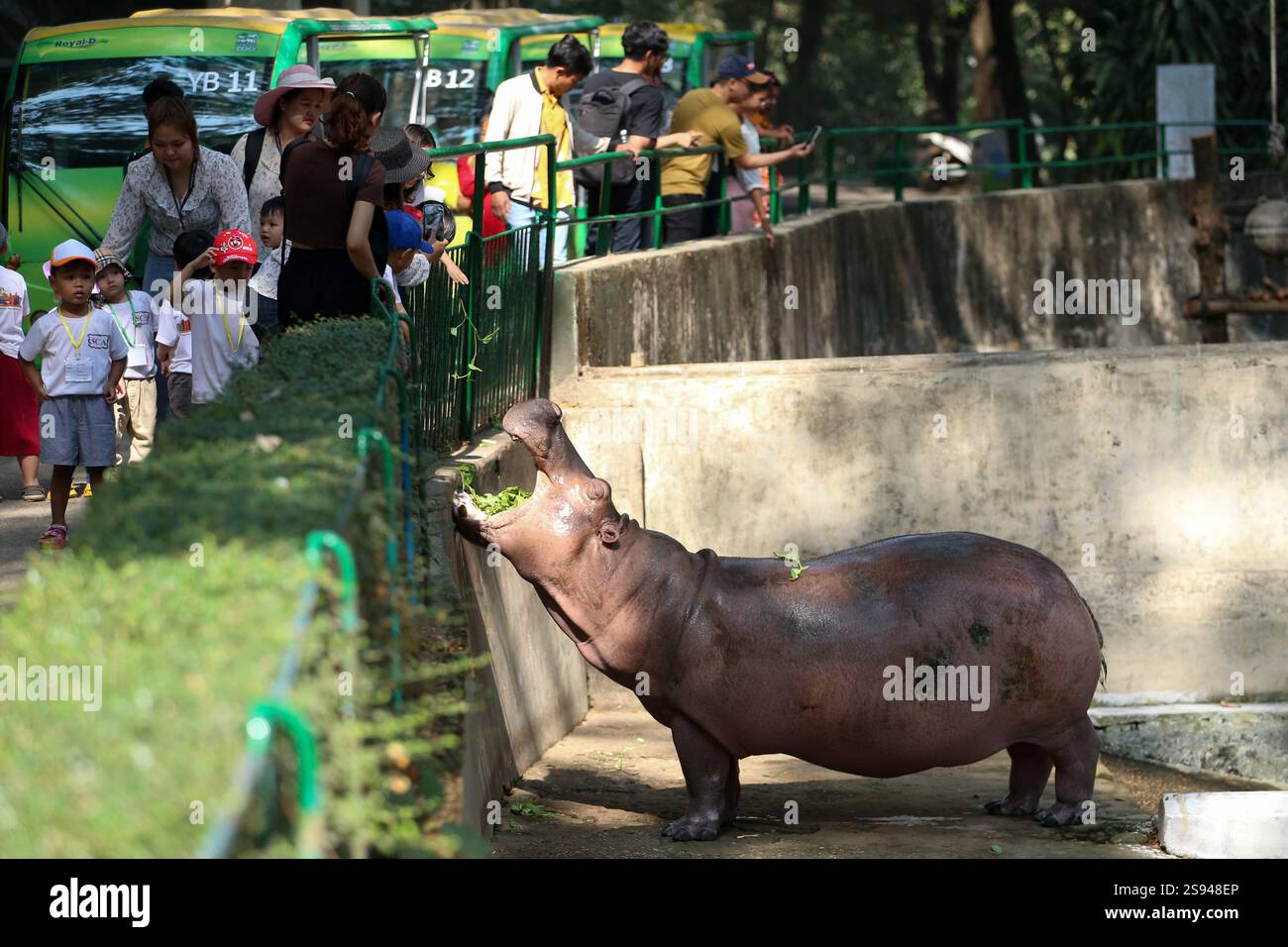 (250124) -- YANGON, 24 janvier 2025 (Xinhua) -- les gens nourrissent un ...