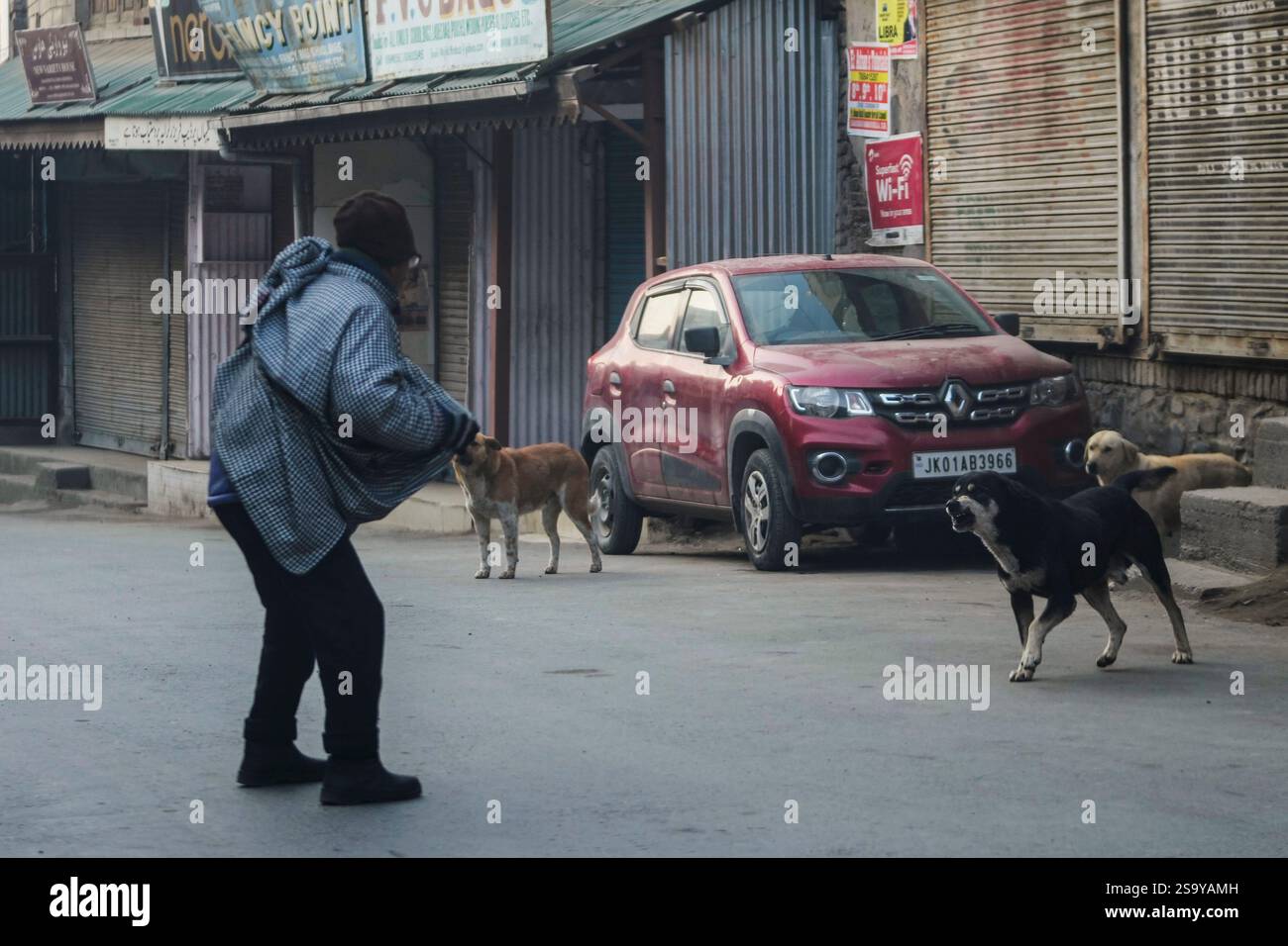 A Kashmiri man tries to protect himself from street dogs as they chased ...