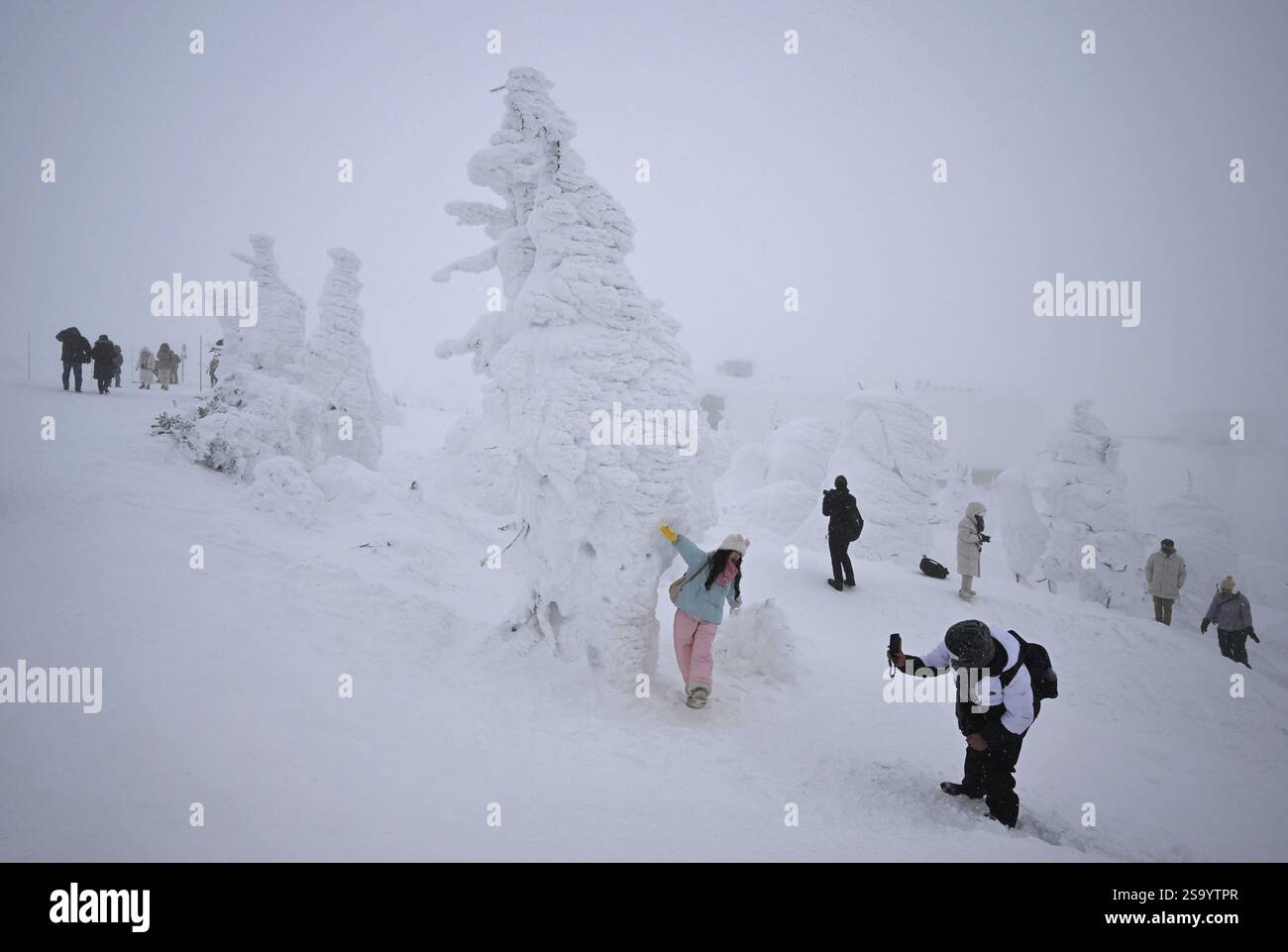 Ice trees are seen at Zao Onsen Mountain & Snow Resort in Yamagata City ...