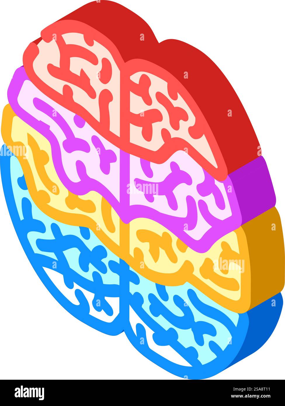 vecteur d'icône isométrique de neurologie neurologique de cartographie ...