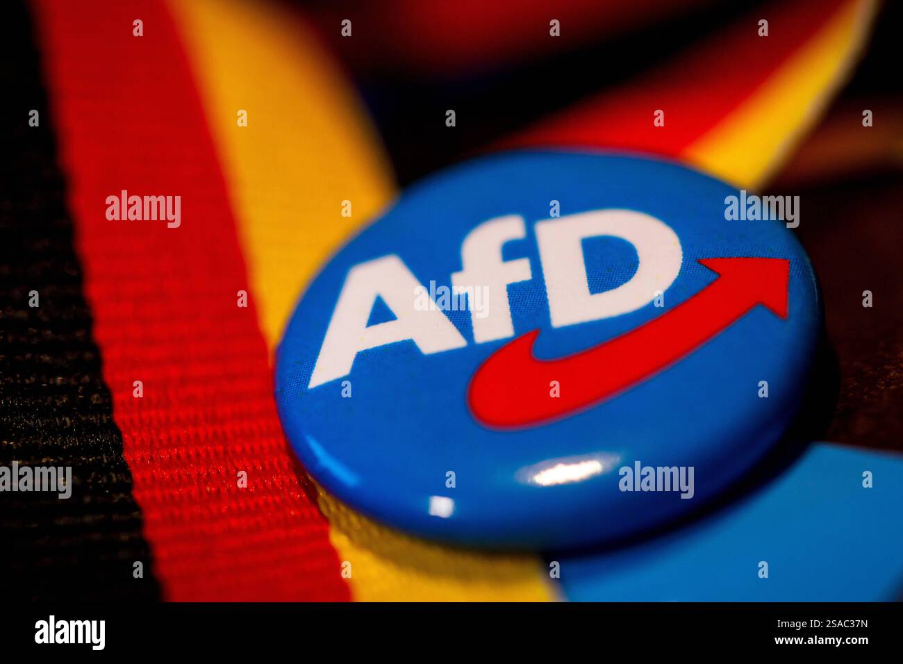 Symbolfoto AFD DEU/Deutschland/illustration, 29.01.2025, Symbolfoto AFD ...