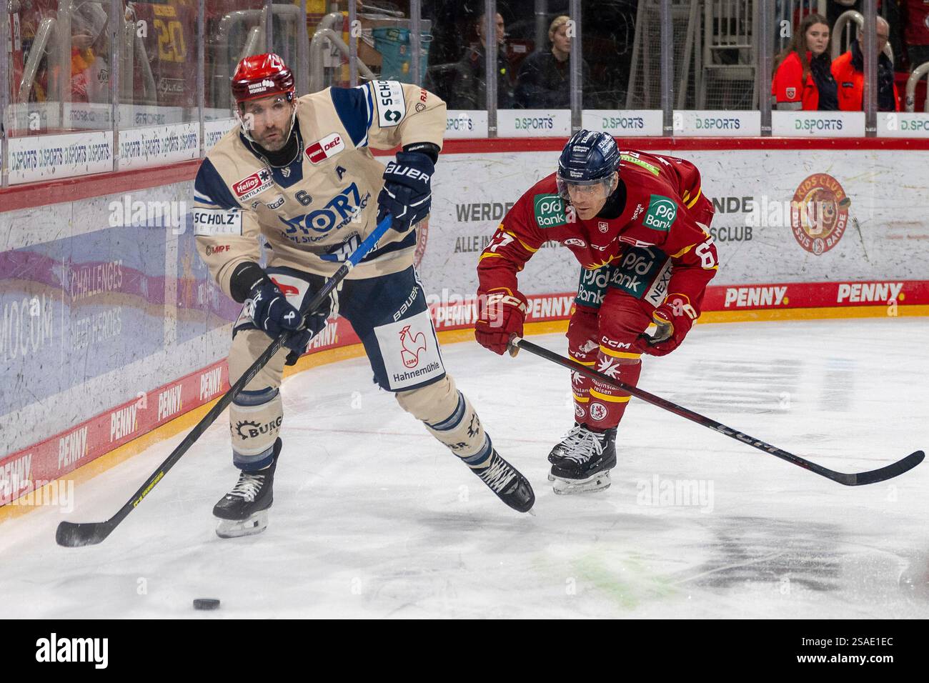 29.01.2025, Eishockey : Penny DEL, saison 2024/2025, 41. Spieltag ...